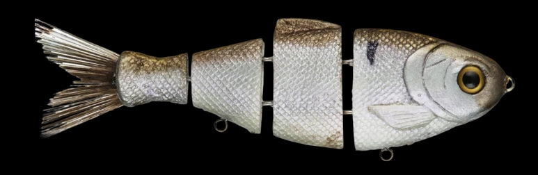 8" Bull Shad Slow Sink – Custom Tackle Direct